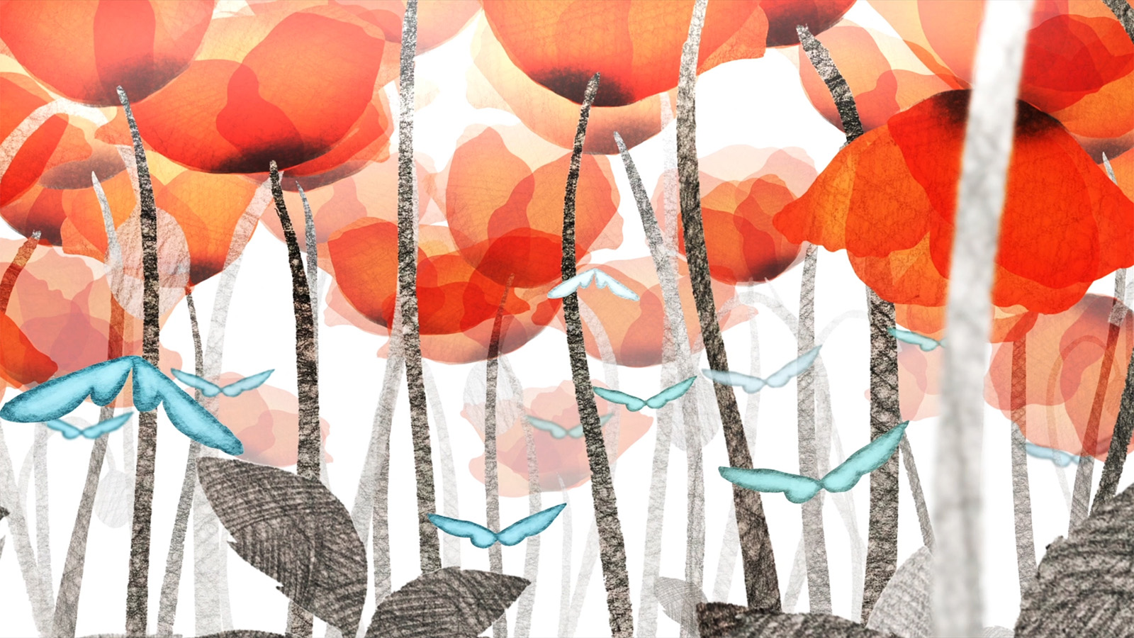 PIRO PIRO | 3+ - Cinéma Café des images